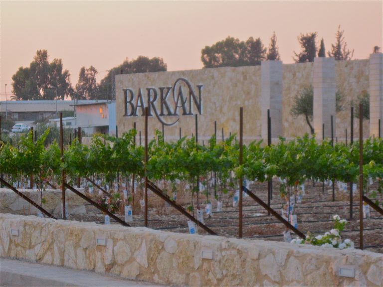 Is Barkan Wine Kosher? - Cross-Currents